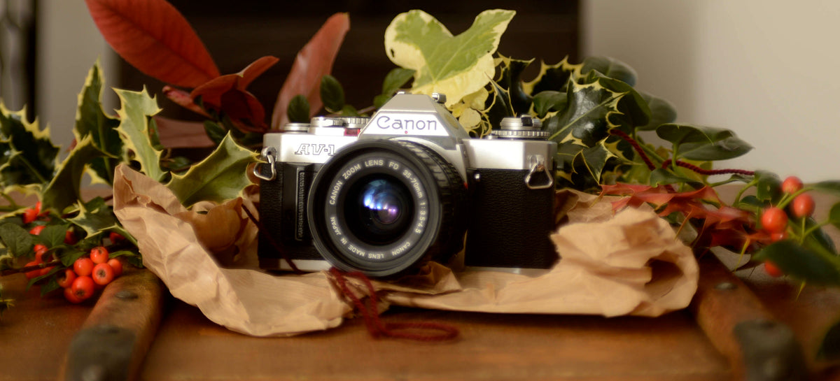 Black Friday Sale! – Rewind Cameras